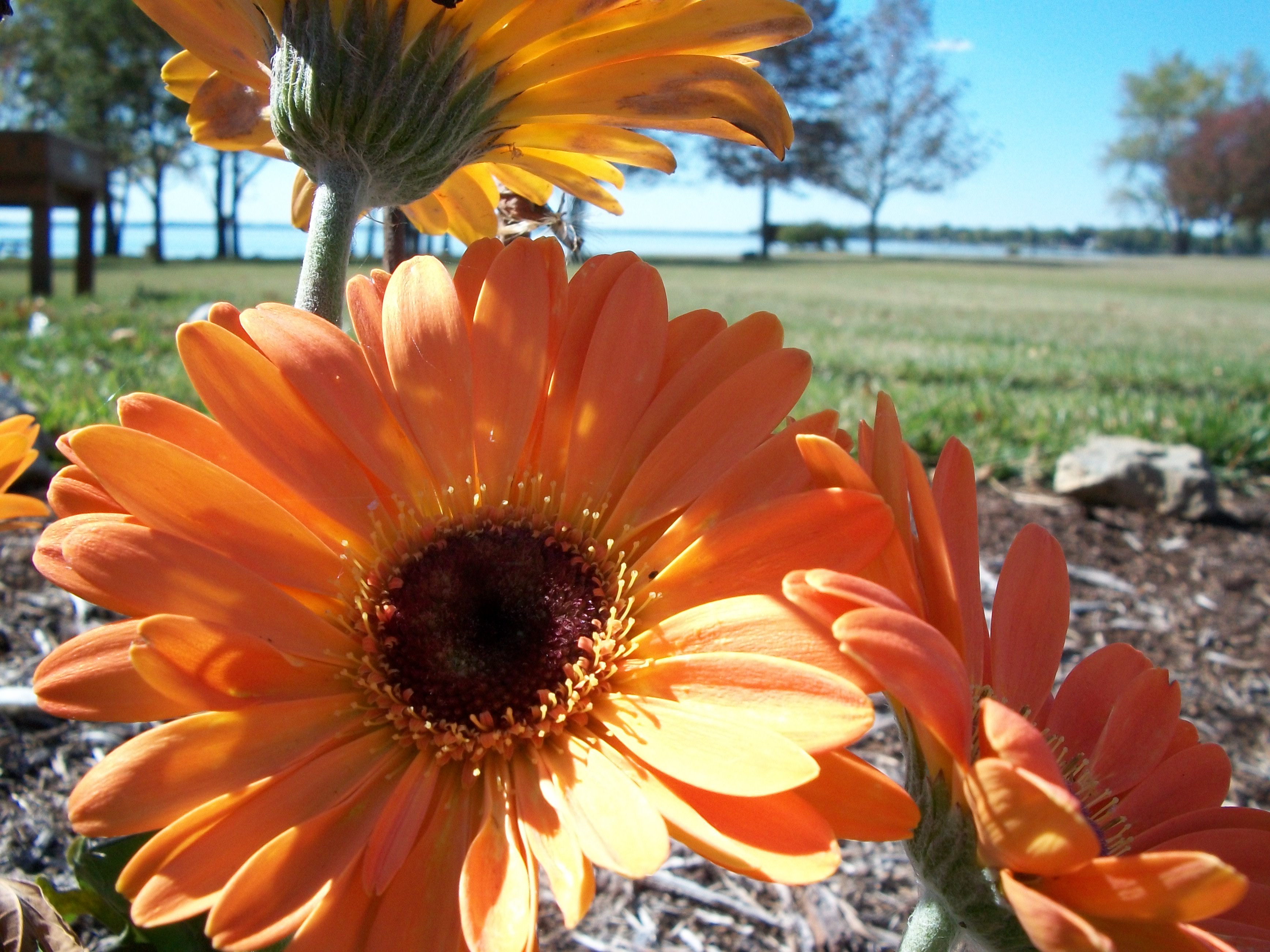 Wright State Newsroom – Photo contest captures outdoor beauty of Wright ...
