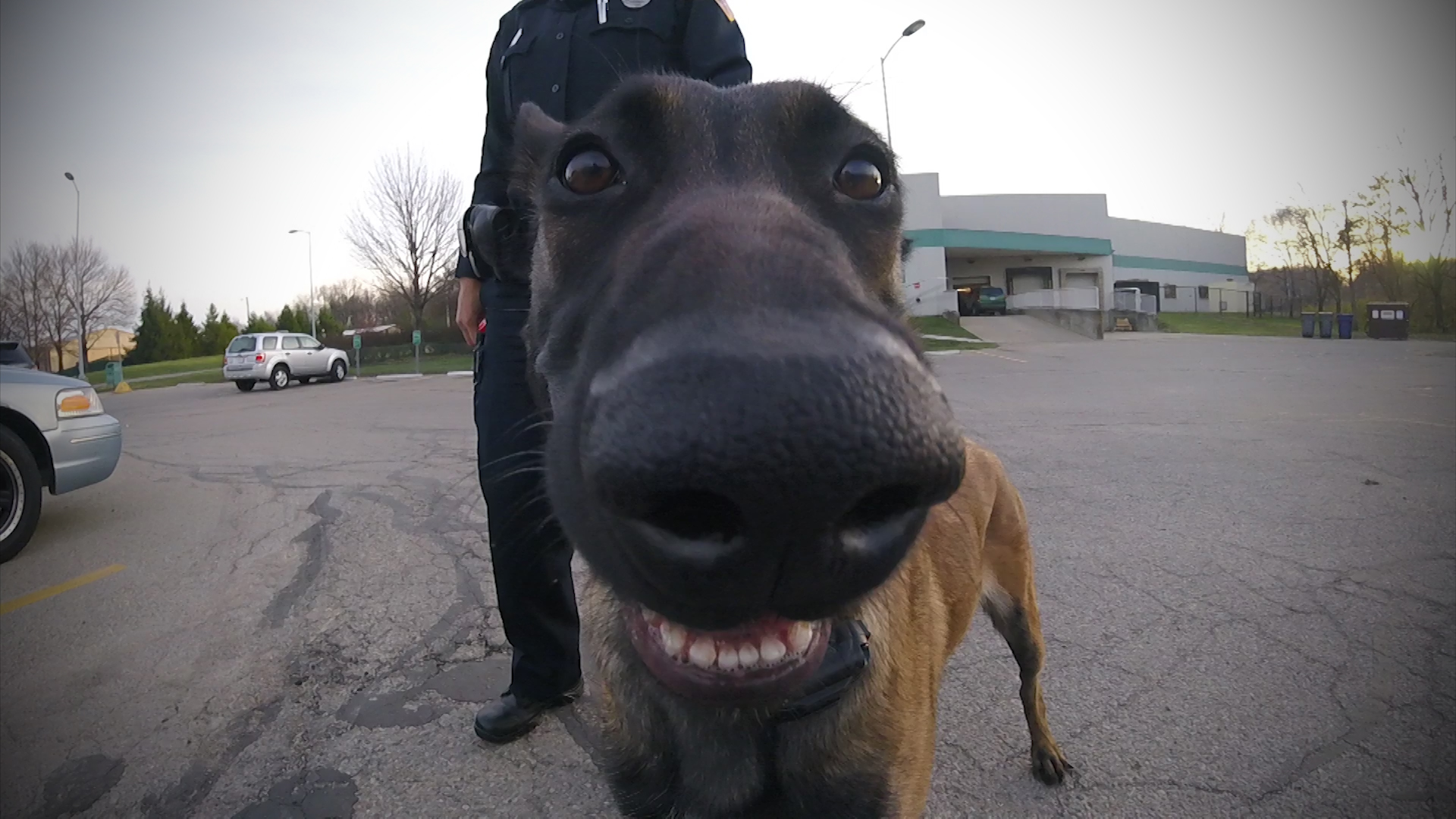 Wright State Newsroom – Meet Jenkka, Wright State’s newest police ...