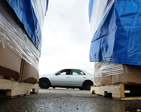 Wright State Newsroom – Helping hands « Wright State University