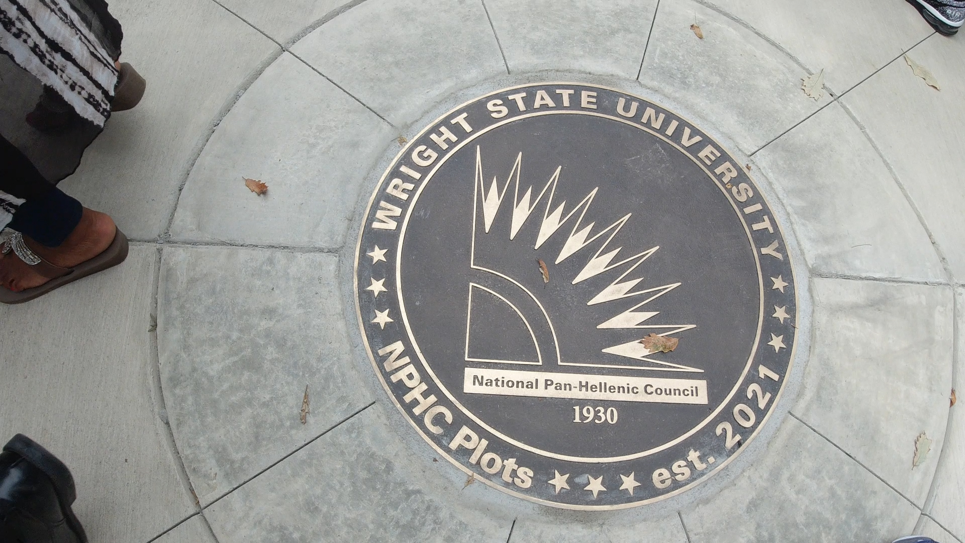 Wright State Newsroom – Wright State celebrates Black fraternities and ...